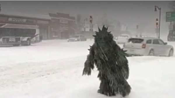 Pot Sasquatch Covered In Marijuana Leaves Crashes News Broadcast